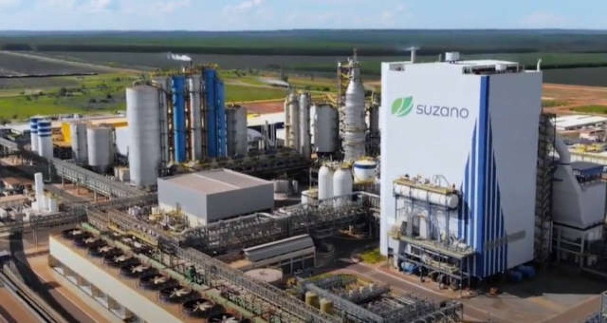 Suzano recebe navio especializado para o transporte de celulose ...
